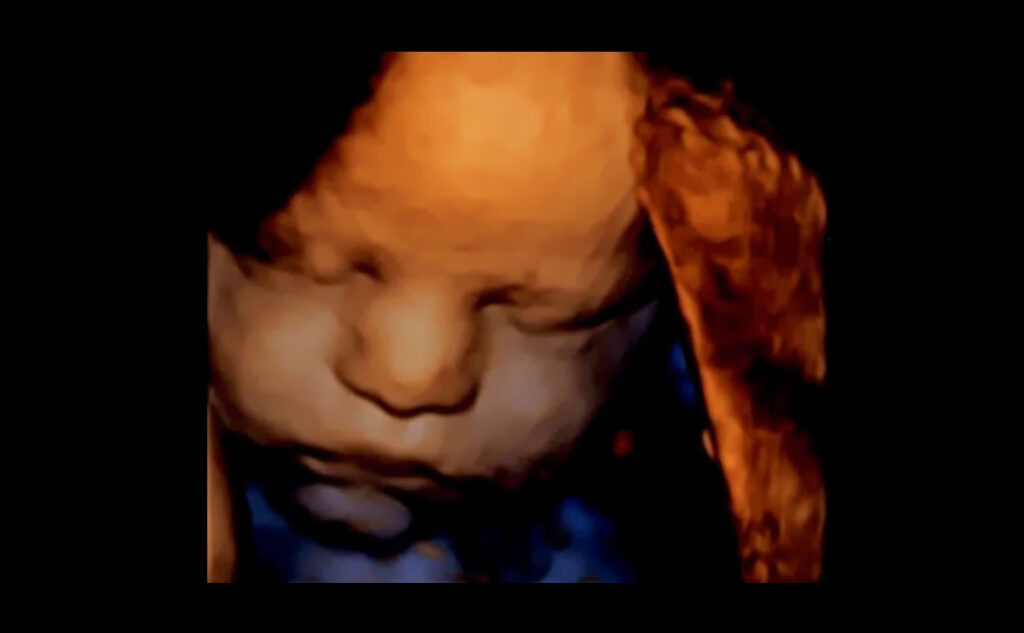 Willkommen - Mainkid